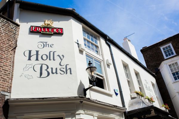 HOLLY BUSH - Updated May 2025 - 88 Photos & 129 Reviews - 22 Holly ...