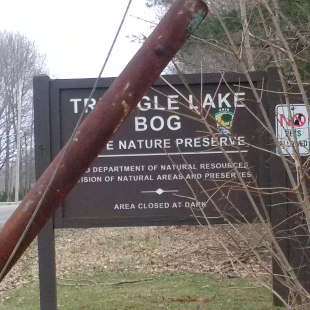 TRIANGLE LAKE BOG - Updated April 2026 - 3592 Sandy Lake Rd, Ravenna ...