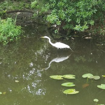 DEMETREE PARK - Updated January 2026 - 15 Photos - 650 Santiago Ave ...