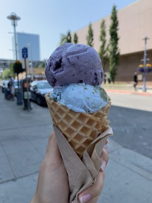 WILD SCOOPS - 346 Photos & 313 Reviews - 429 E St, Anchorage, Alaska ...