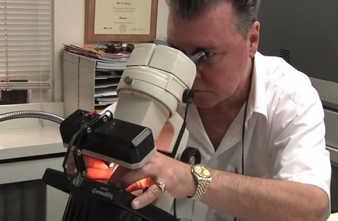 GEMOLOGICAL APPRAISAL LABORATORY OF AMERICA - Updated August 2024 - 21 ...