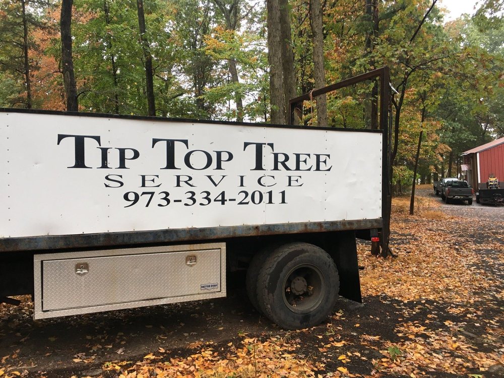 TIP TOP TREE SERVICE - Updated December 2025 - 11 Photos - 4 Church Ln ...