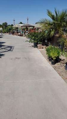 MESQUITE VALLEY GROWERS NURSERY - 392 Photos & 192 Reviews - 8005 E ...