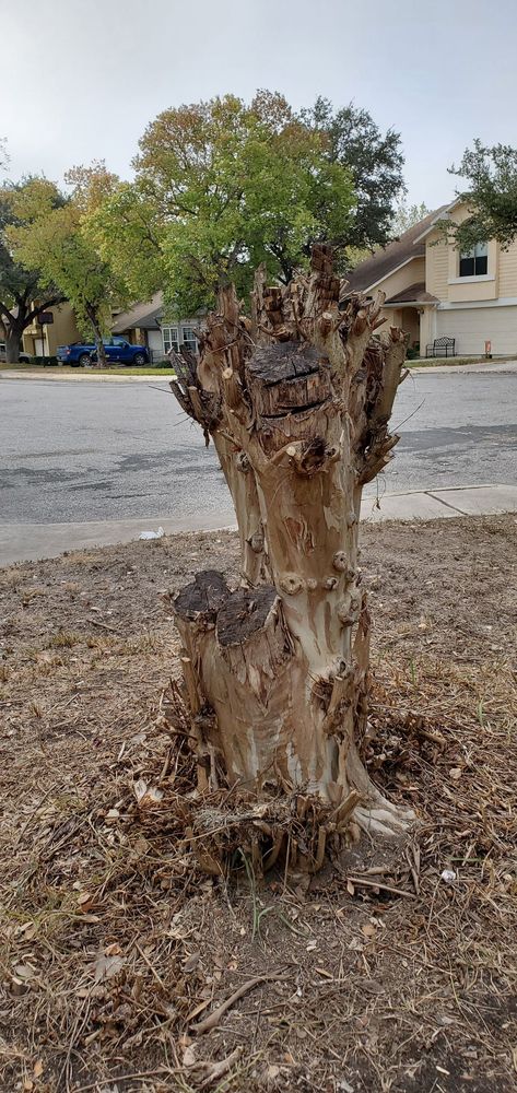 THE STUMP GUY - Updated November 2025 - San Antonio, Texas - Tree ...