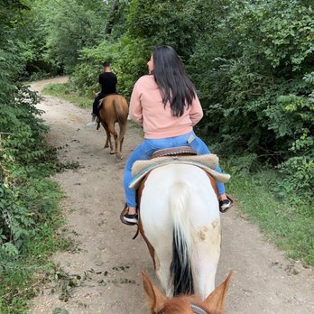 MEMORY LANE STABLES - Updated December 2025 - 168 Photos & 123 Reviews ...