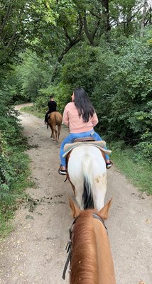 MEMORY LANE STABLES - Updated May 2024 - 143 Photos & 82 Reviews - 8290 ...