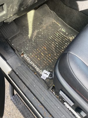 ALL-STAR AUTO GLASS - Updated October 2025 - 72 Photos & 300 Reviews ...