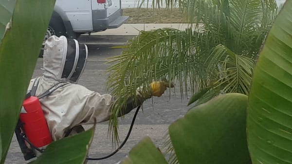 PRO PACIFIC PEST CONTROL - Updated August 2025 - 44 Photos & 262 ...