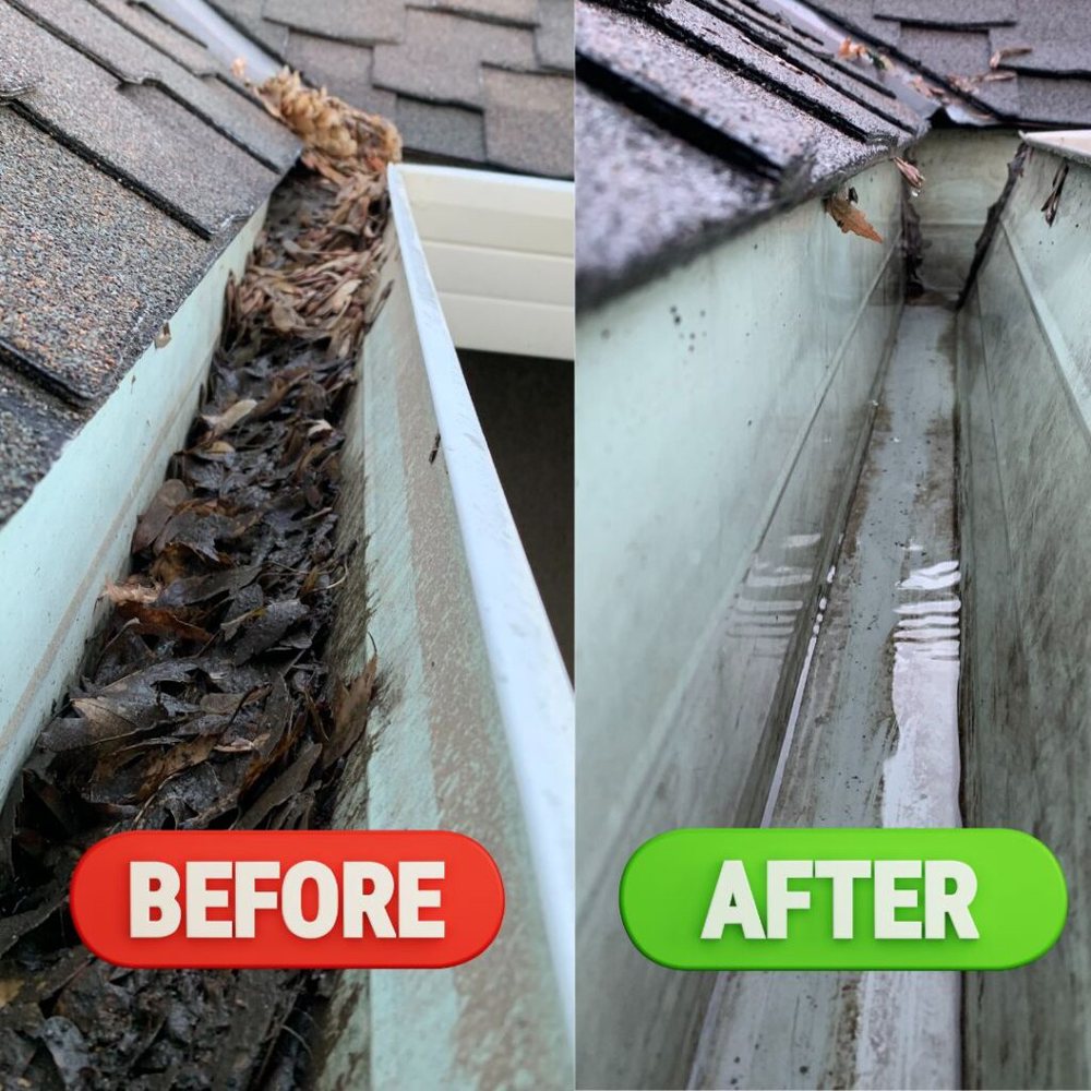 GUTTER BUG - Updated January 2025 - Request a Quote - Bushnell, Florida ...