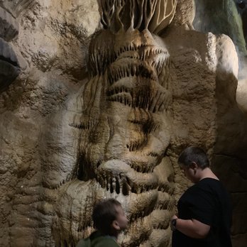 ANNISTON MUSEUM OF NATURAL HISTORY - Updated October 2025 - 59 Photos ...