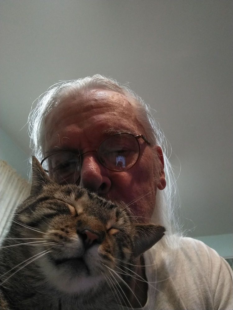 LAKESHORE HUMANE SOCIETY - Updated June 2026 - 12 Photos & 10 Reviews ...