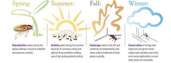 ECOSHIELD PEST SOLUTIONS - Updated January 2026 - 71 Photos & 343 ...
