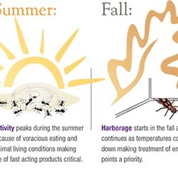 ECOSHIELD PEST SOLUTIONS - 68 Photos & 206 Reviews - 1 Enterprise Pl ...