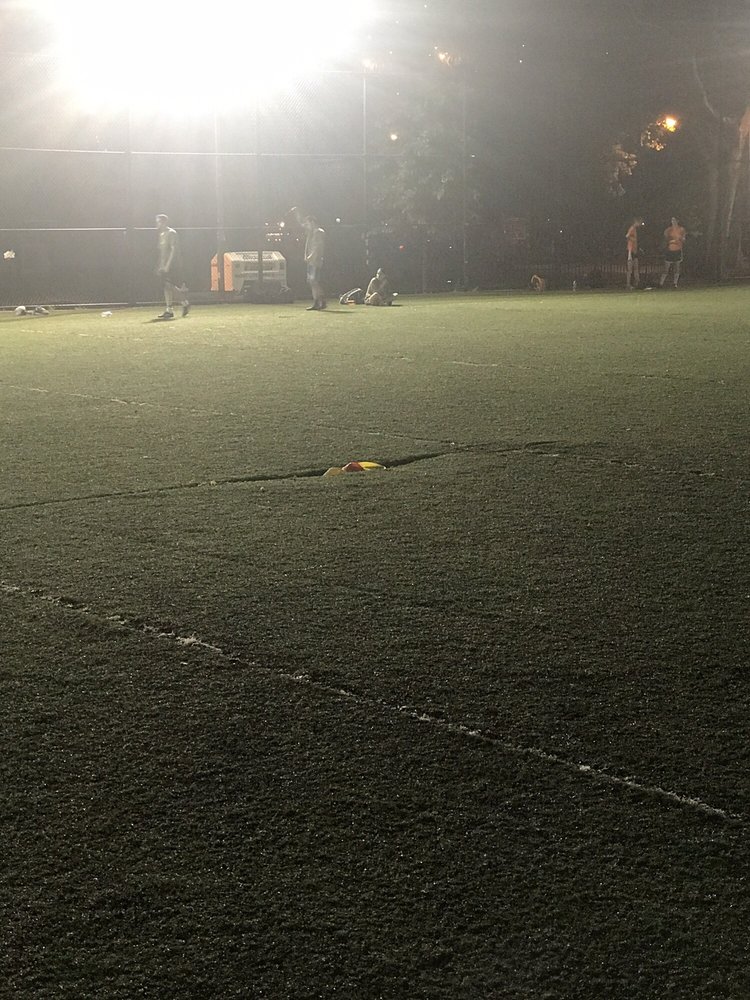 BARUCH FIELD - Updated May 2025 - Corner Of Baruch Pl And Mangin St ...