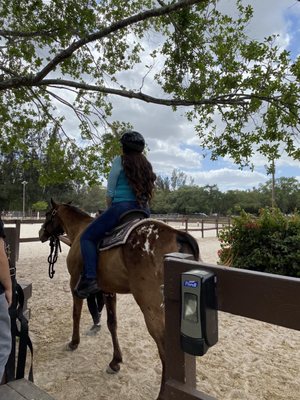 DAVIE RANCH - 98 Photos & 36 Reviews - Venues & Event Spaces - 5600 SW ...