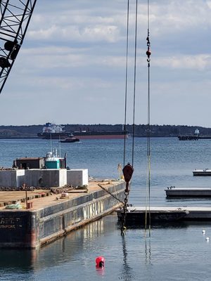 EASTERN PROMENADE - Updated March 2025 - 294 Photos & 81 Reviews - 231 ...