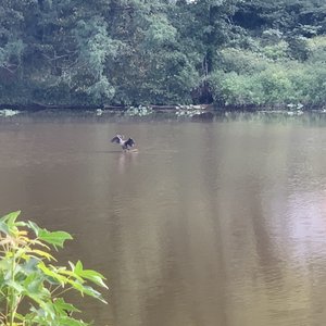 KNIGHT PARK - Updated September 2024 - 21 Photos & 10 Reviews ...