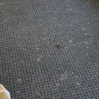 AZUCAR ICE CREAM - LITTLE HAVANA - Updated June 2024 - 2041 Photos ...