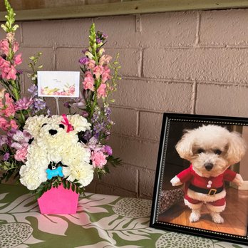 FLO’S MIN FLORIST - Updated June 2025 - 124 Photos & 129 Reviews - 927 ...