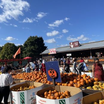 COX FARMS - Updated October 2024 - 786 Photos & 386 Reviews - 15621 ...