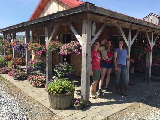 HOLIDAY BROOK FARM - Updated December 2025 - 18 Photos - 100 Holiday ...