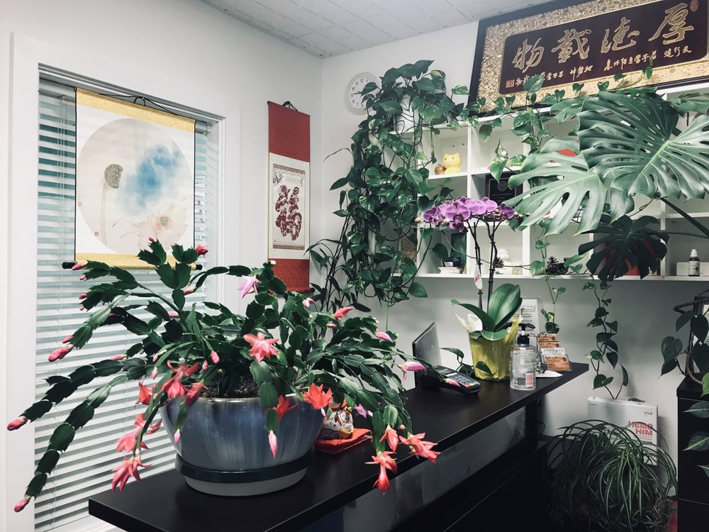 ARCADIA WELLNESS - Updated May 2026 - 12 Photos - 180-9655 King George ...
