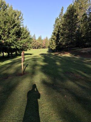 FOREST MEADOWS GOLF COURSE - Updated April 2026 - 15 Photos & 28 ...