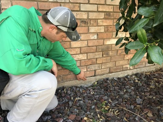 GREENWORKS INSPECTIONS & ENGINEERING - Updated June 2026 - 75 Photos ...