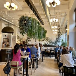 THE FOXTAIL - Updated January 2025 - 385 Photos & 216 Reviews - 5237 ...