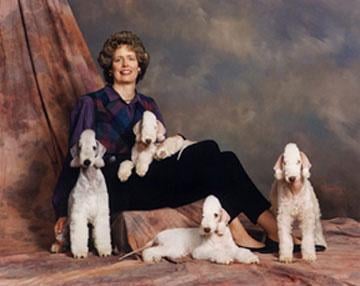 CYNTHIA COOK, DVM - Updated December 2025 - 210 Industrial Rd, San ...