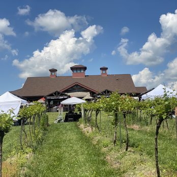 MOUNTAIN VIEW VINEYARD, WINERY, BREWERY & DISTILLERY - Updated December ...