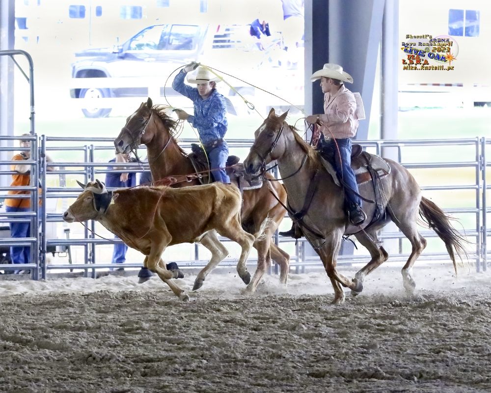 PHOENIX RISING EQUINE - Updated July 2025 - Monticello, Florida ...