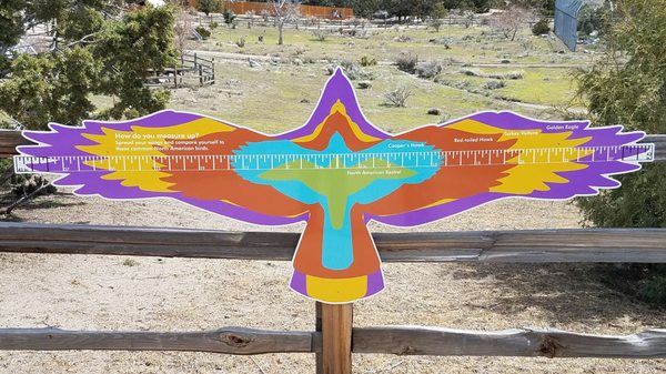 ANIMAL ARK - 499 Photos & 140 Reviews - 1265 Deerlodge Rd, Reno, NV - Yelp