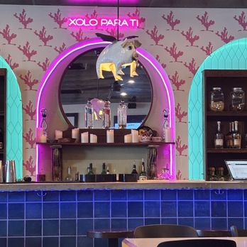 XOLO TACOS - Updated October 2025 - 163 Photos & 178 Reviews - 13216 N ...