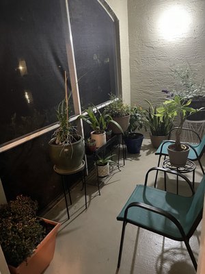 JESSE DURKO’S NURSERY - 96 Photos & 34 Reviews - 5151 SW 70th Ave ...