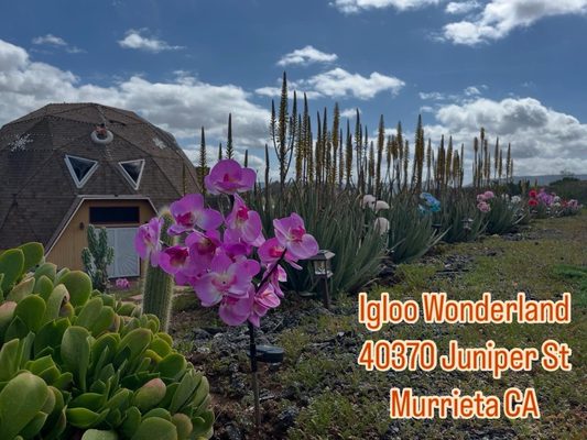 IGLOO WONDERLAND - Updated January 2026 - 72 Photos - 40370 Juniper St ...