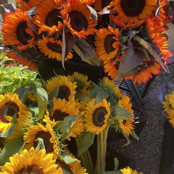 RVA BIG MARKET - Updated January 2025 - 78 Photos & 13 Reviews - 4308 ...