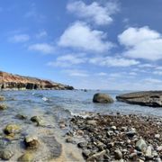 POINT LOMA TIDE POOLS - 817 Photos & 126 Reviews - Gatchell Rd, San ...