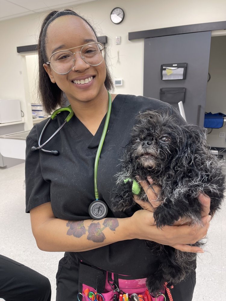 WESTSIDE VILLAGE ANIMAL HOSPITAL - Updated May 2025 - 2250 Marietta ...