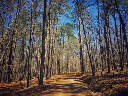 Duke Forest, Korstian Division - 139 Photos - Hiking - LSRC Science Dr ...