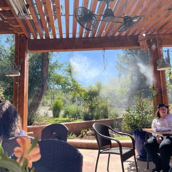 PEACH TREE CAFE - Updated October 2025 - 73 Photos & 63 Reviews - 4225 ...