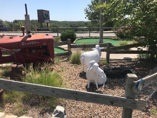 GRAND COUNTRY FUN SPOT - Updated August 2024 - 49 Photos & 39 Reviews ...