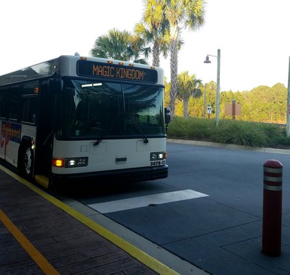 Magic Kingdom Bus Station - 21 Photos & 17 Reviews - Transportation ...