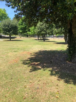 DELLINGER PARK - Updated April 2025 - 46 Photos & 13 Reviews - 100 Pine ...