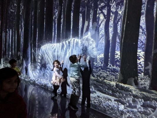 ARTE MUSEUM - Updated October 2025 - 3553 Photos & 662 Reviews - 3716 S ...