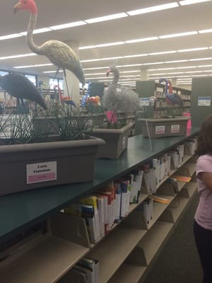 NEW TAMPA REGIONAL LIBRARY - Updated October 2025 - 20 Photos & 21 ...