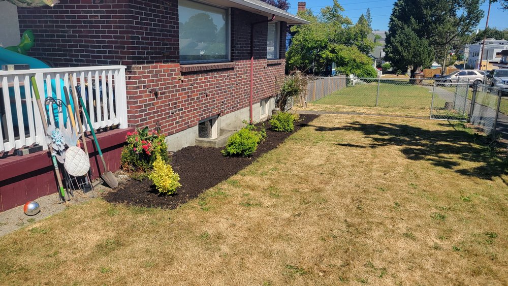 LANDNCASPING LANDIN - Updated May 2024 - 10 Photos - Federal Way ...