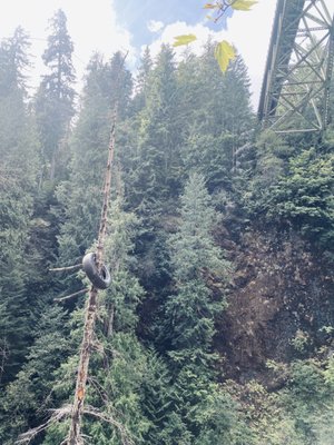 HIGH STEEL BRIDGE - Updated June 2025 - 28 Photos - NF2340, Shelton ...