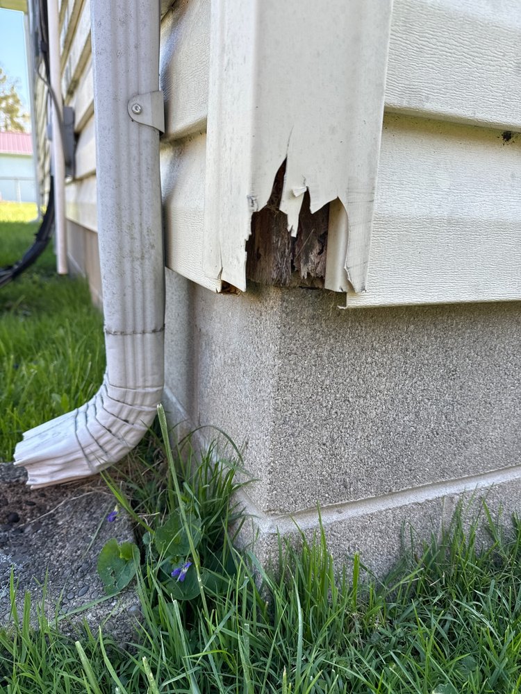 WEBB PROPERTY INSPECTIONS - Updated June 2026 - 115 Photos - Clayton ...