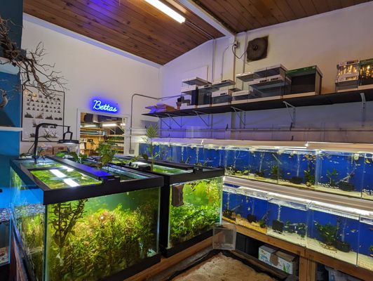 THE FISH BARN - Updated November 2024 - 34 Photos & 31 Reviews - 19 ...